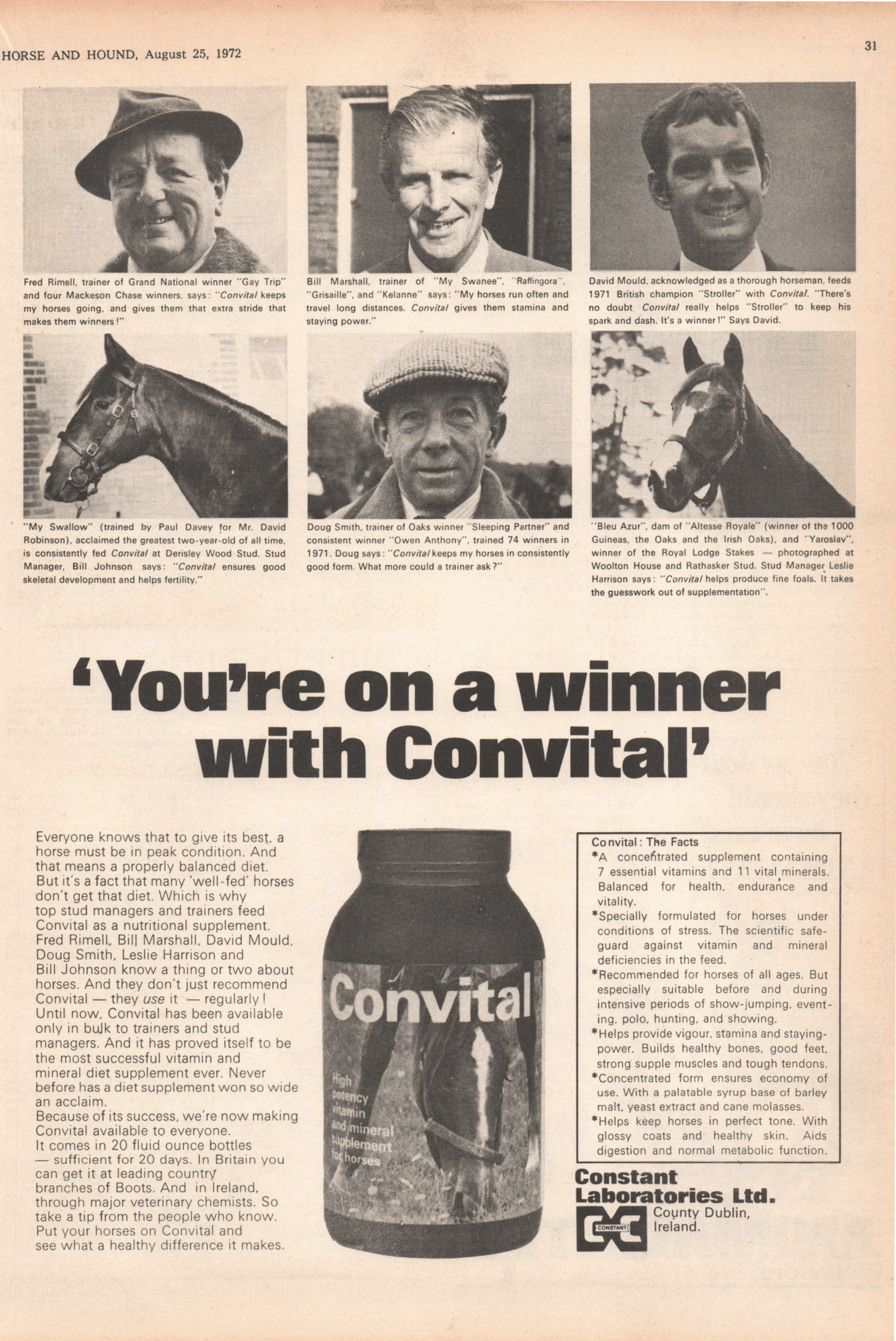 HEAVY HORSES - The Magazine Archive